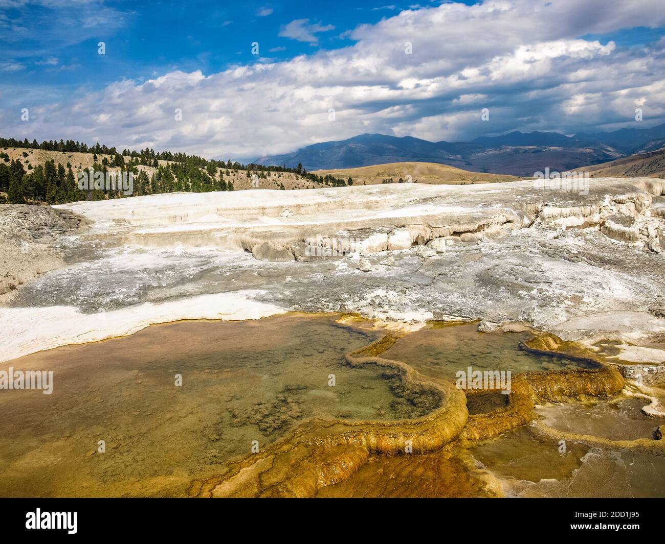 Sulfur springs and active earth , Mammoth hot springs, Yellowstone ...