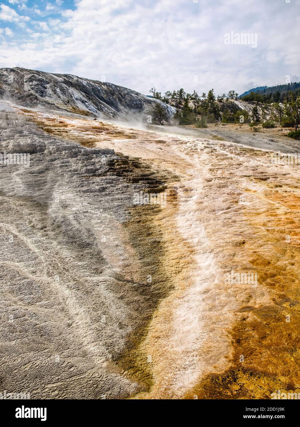 Earth carved by volcanic activity, Mammoth hot springs, Yellowstone ...