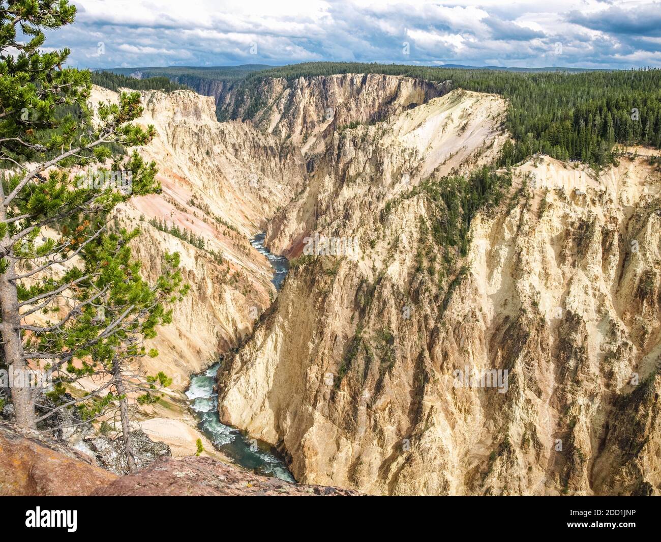 Silent snake hi-res stock photography and images - Alamy