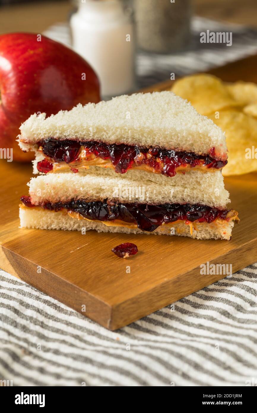 Homemade Crustless Peanut Butter and Jelly Sandwich with Chips Stock ...