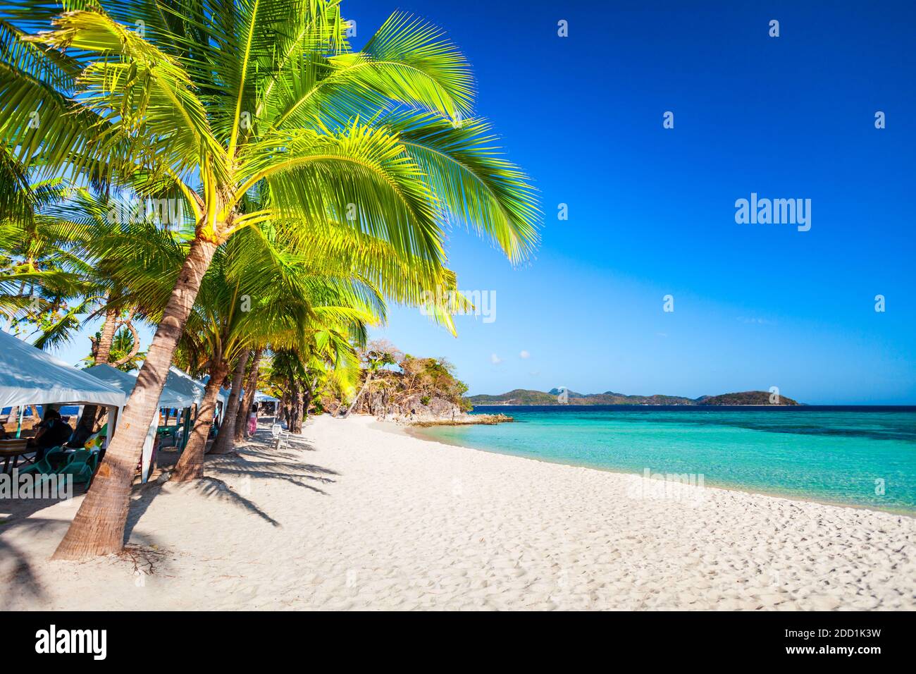 Beach with yellow sand, coconut palms and turquoise water in Busuanga ...