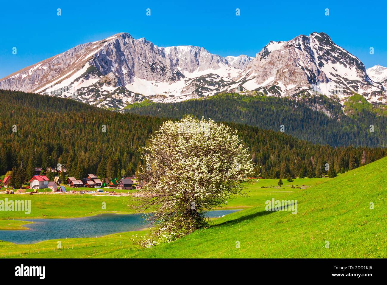 Zabljak town and Durmitor mountain massif in Montenegro Stock Photo - Alamy