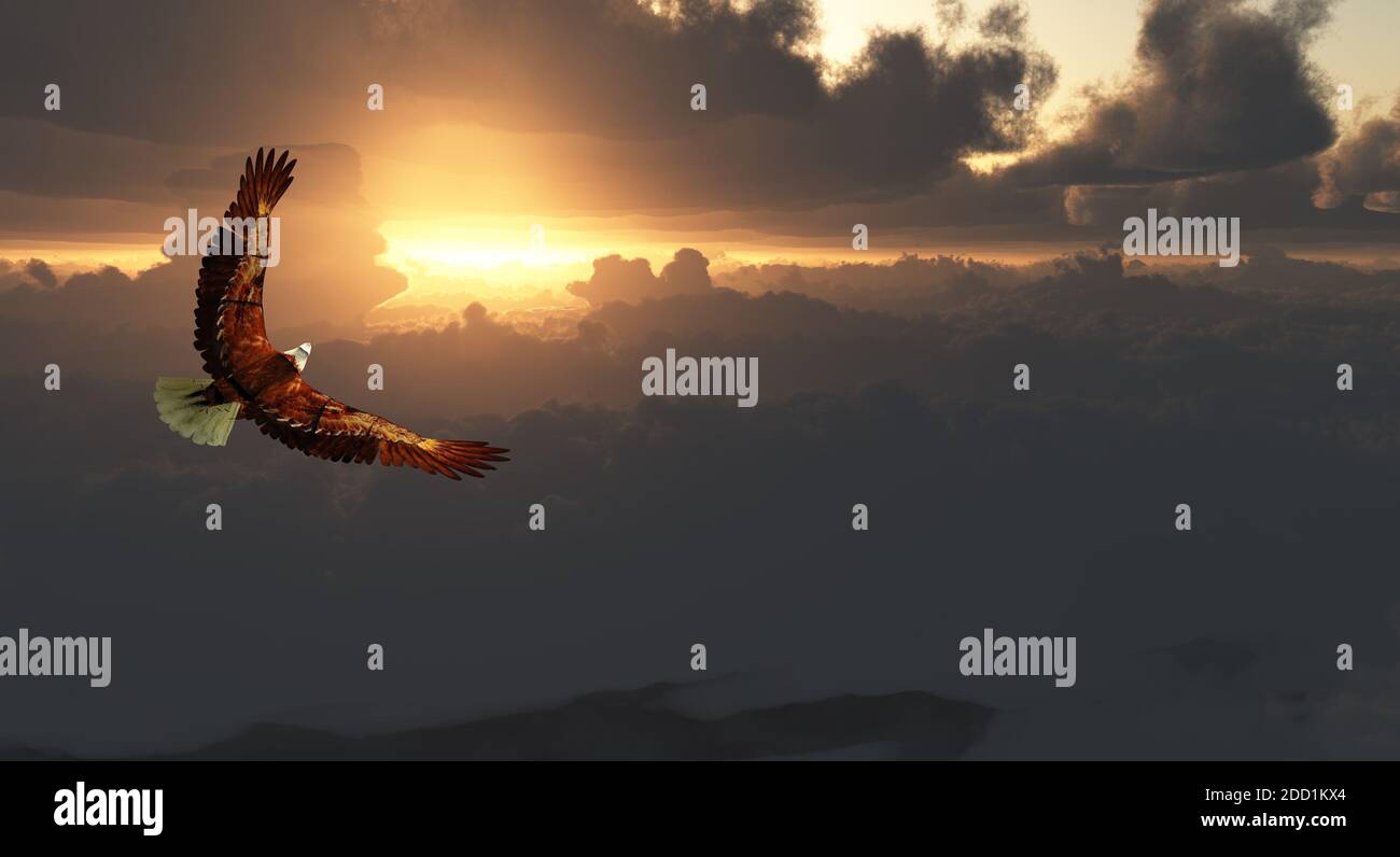 Eagle in Flight Above Dramatic Cloudscape. 3D rendering Stock Photo - Alamy