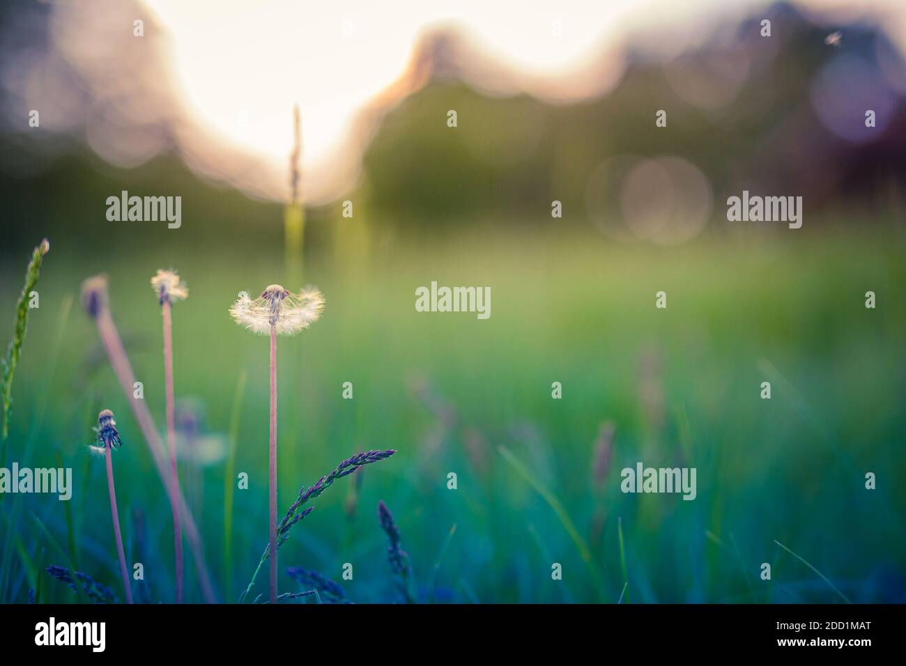 Tranquil background hi-res stock photography and images - Alamy