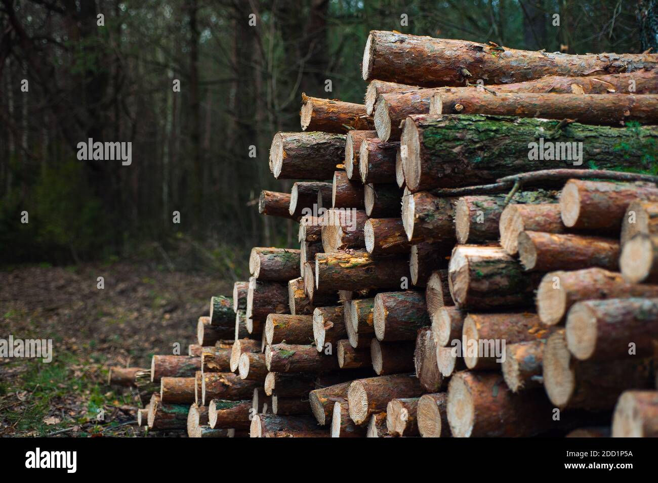 Horizontal lumber hi-res stock photography and images - Alamy