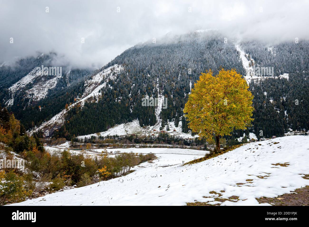 Wonderful Mountain Landscape covered in snow near Fusch in Austria ...