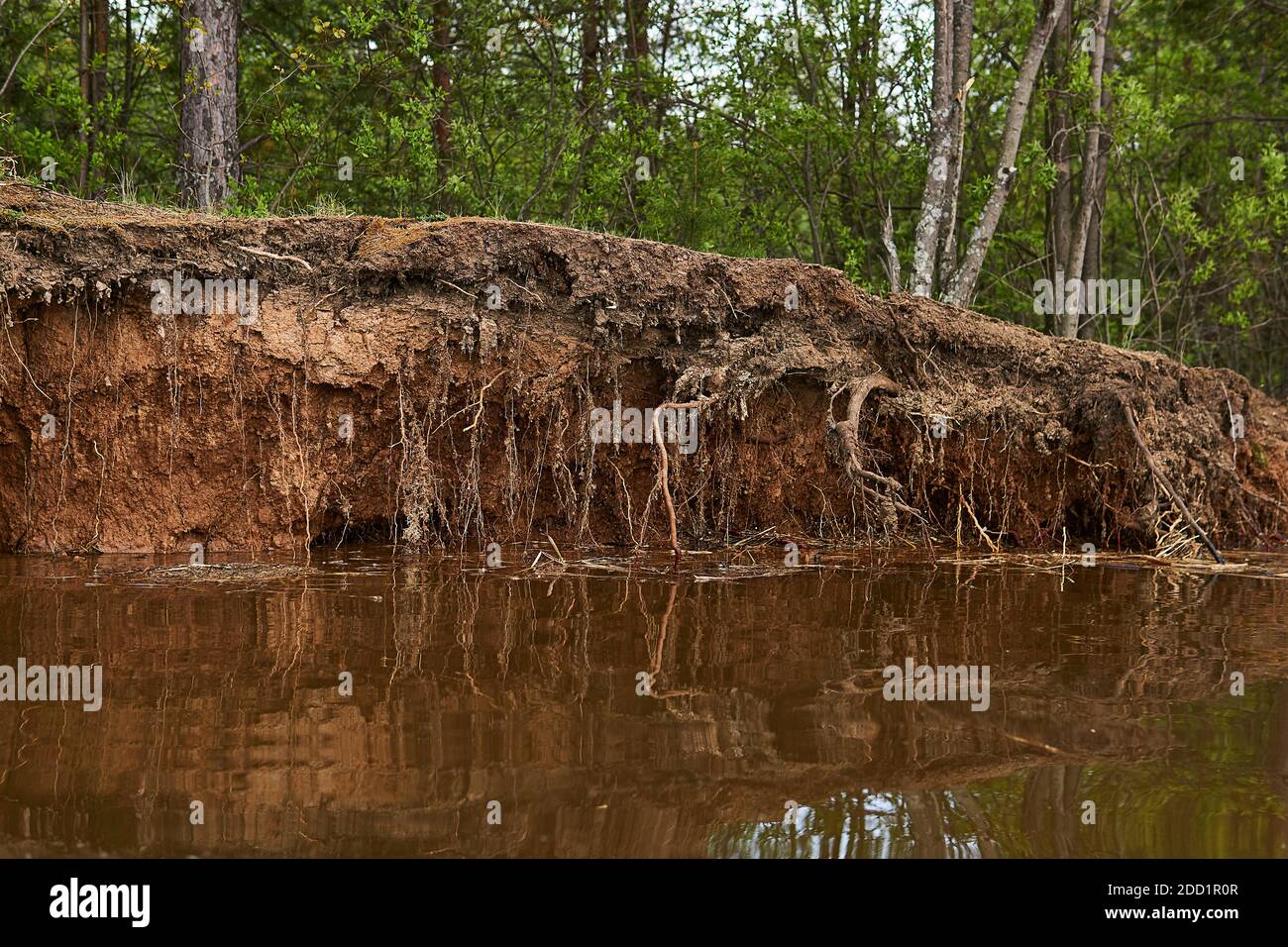 clayey bank of the river is washed away by water during floods Stock ...