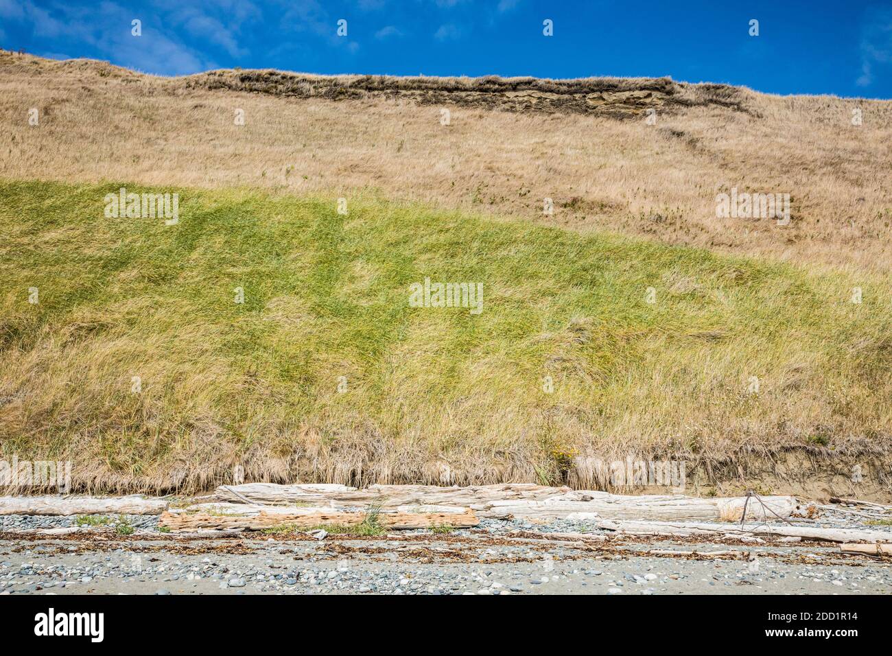 Ebey's Landing Beach Trail below the steep bluffs, Whidbey Island ...