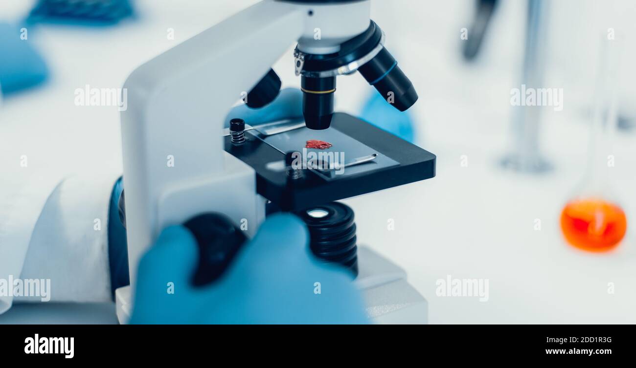 close up. scientist looking through a microscope Stock Photo - Alamy