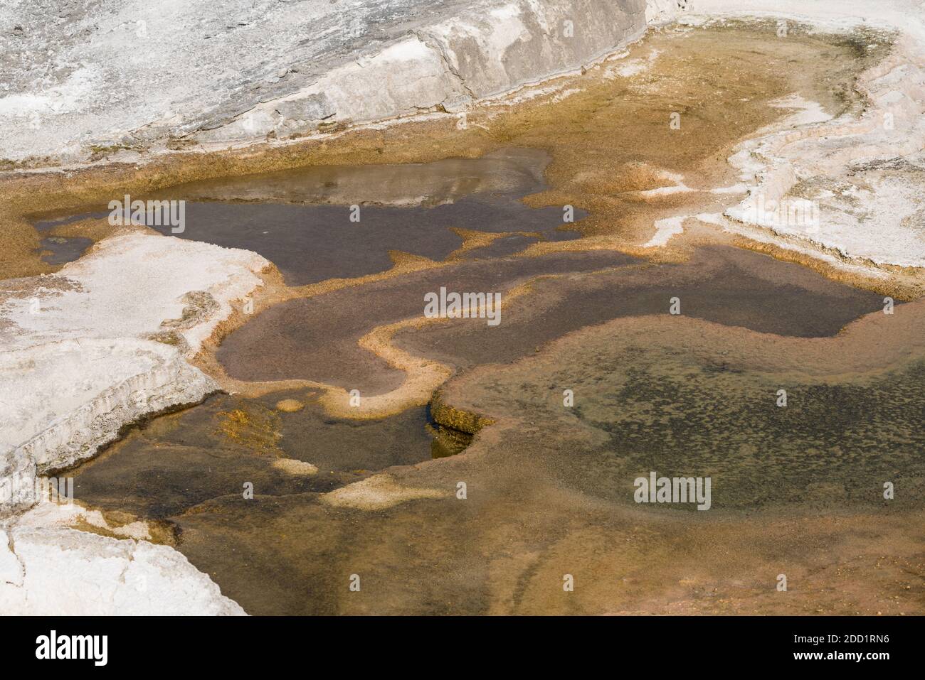 Travertine terraces at Mound Terrace, Lower Terraces, Mammoth Hot ...