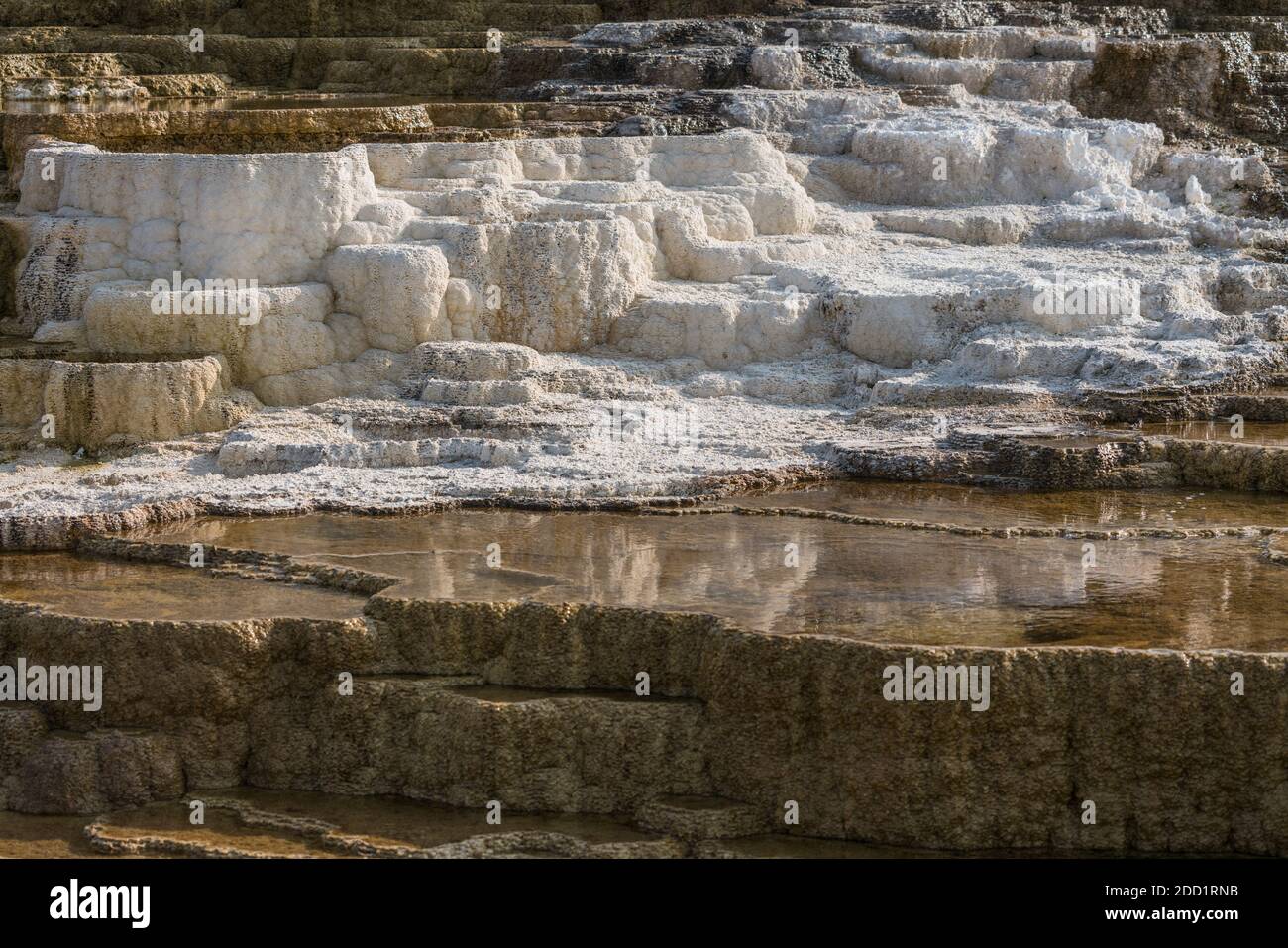 Travertine terraces at Mound Terrace, Lower Terraces, Mammoth Hot ...