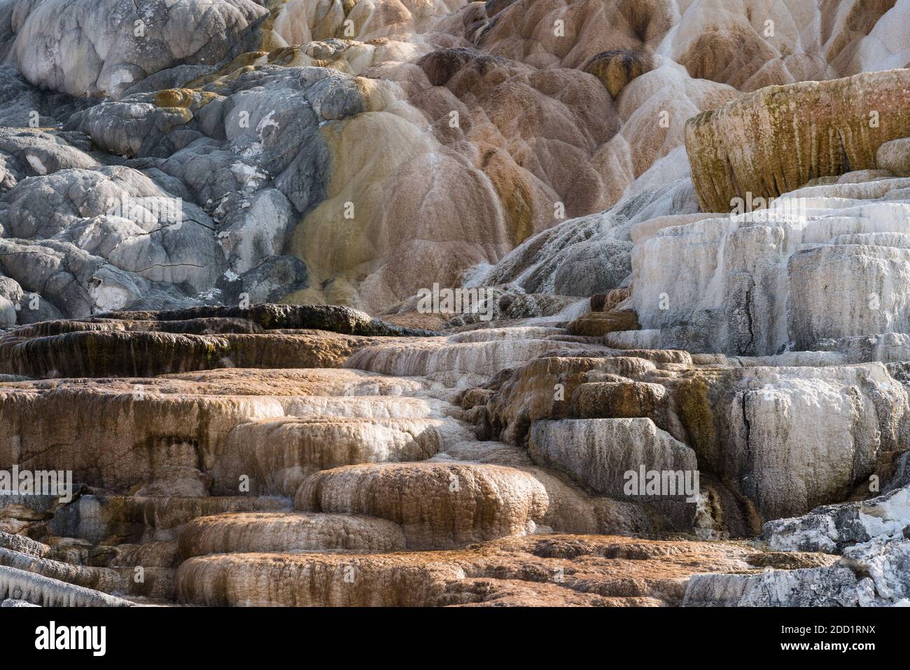 Travertine terraces at Palette Spring, Lower Terraces, Mammoth Hot ...