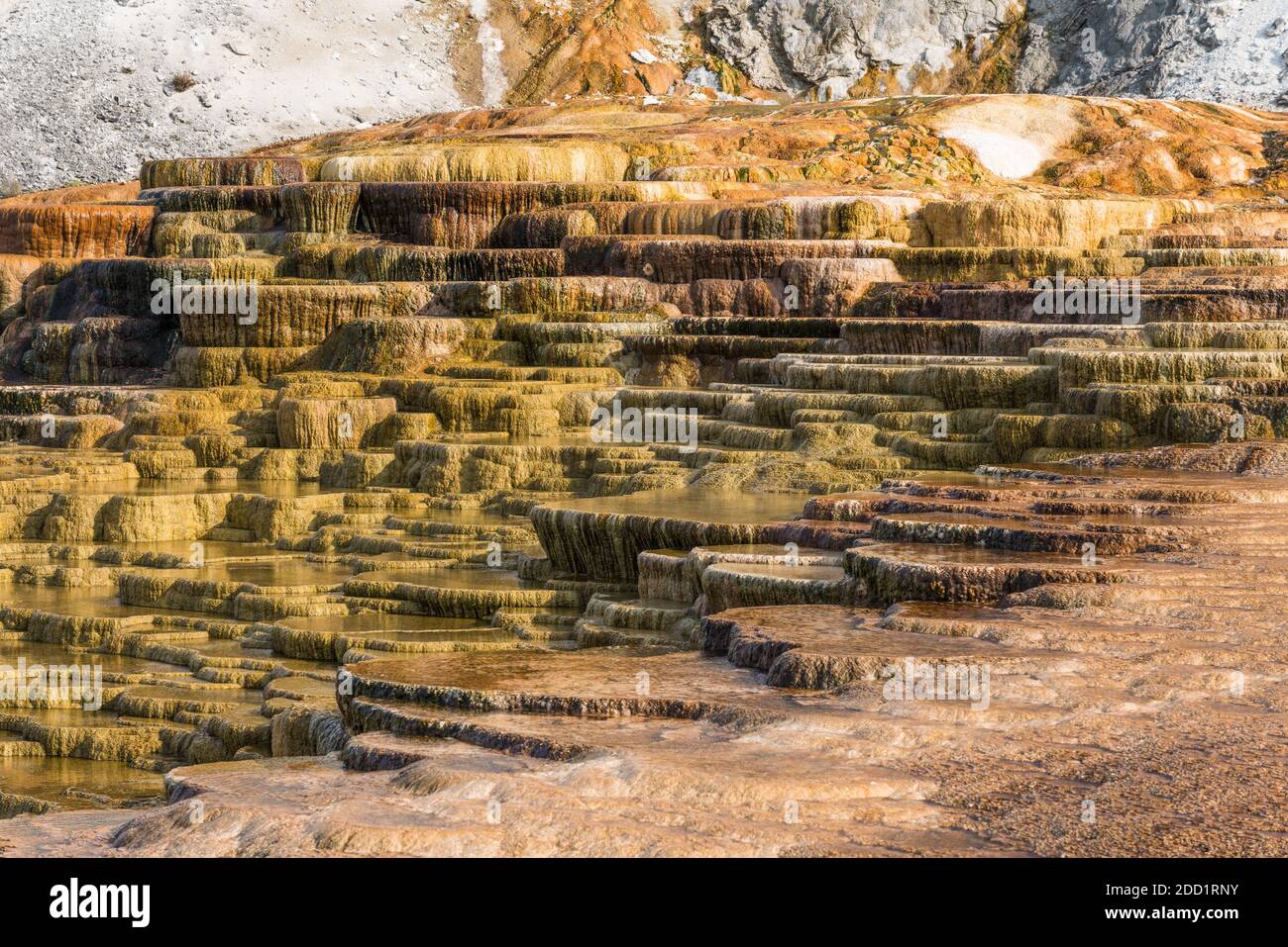 Travertine terraces at Mound Terrace, Lower Terraces, Mammoth Hot ...