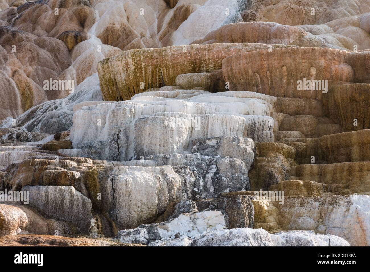 Travertine terraces at Palette Spring, Lower Terraces, Mammoth Hot ...