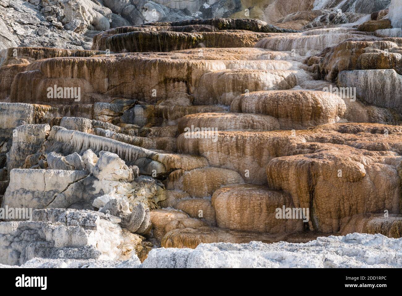 Travertine terraces at Palette Spring, Lower Terraces, Mammoth Hot ...