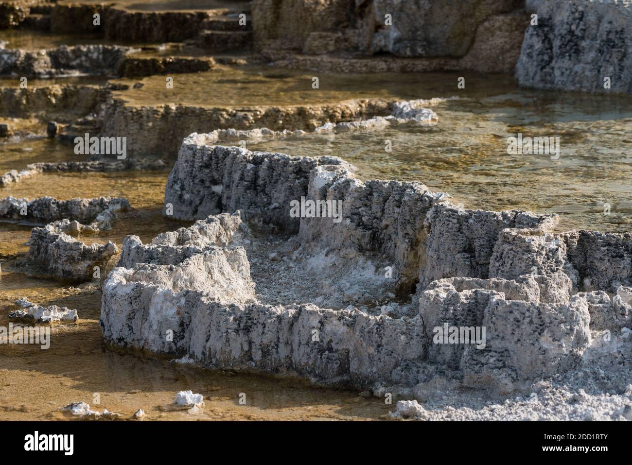 Travertine terraces at Palette Spring, Lower Terraces, Mammoth Hot ...