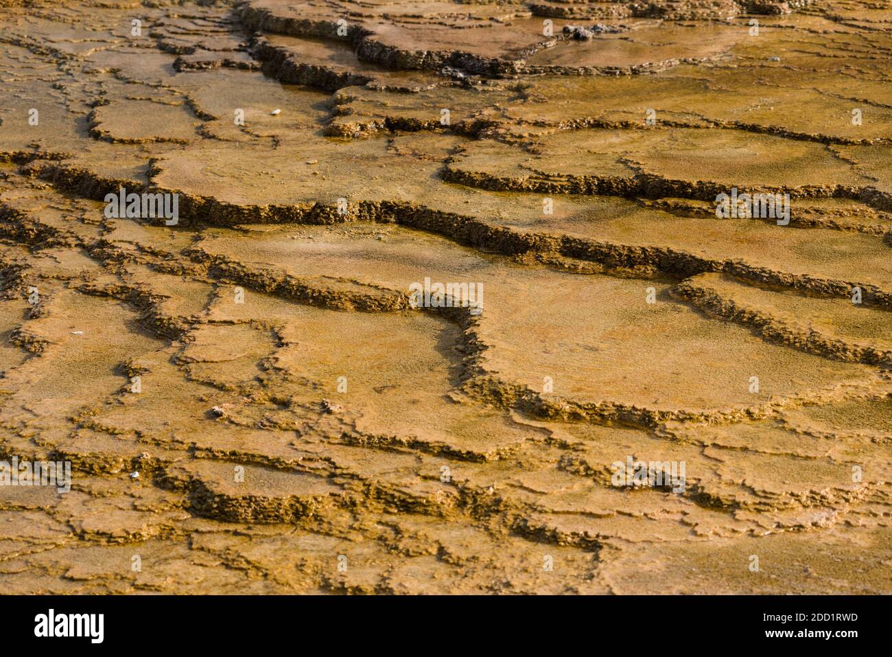 Travertine terraces at Palette Spring, Lower Terraces, Mammoth Hot ...