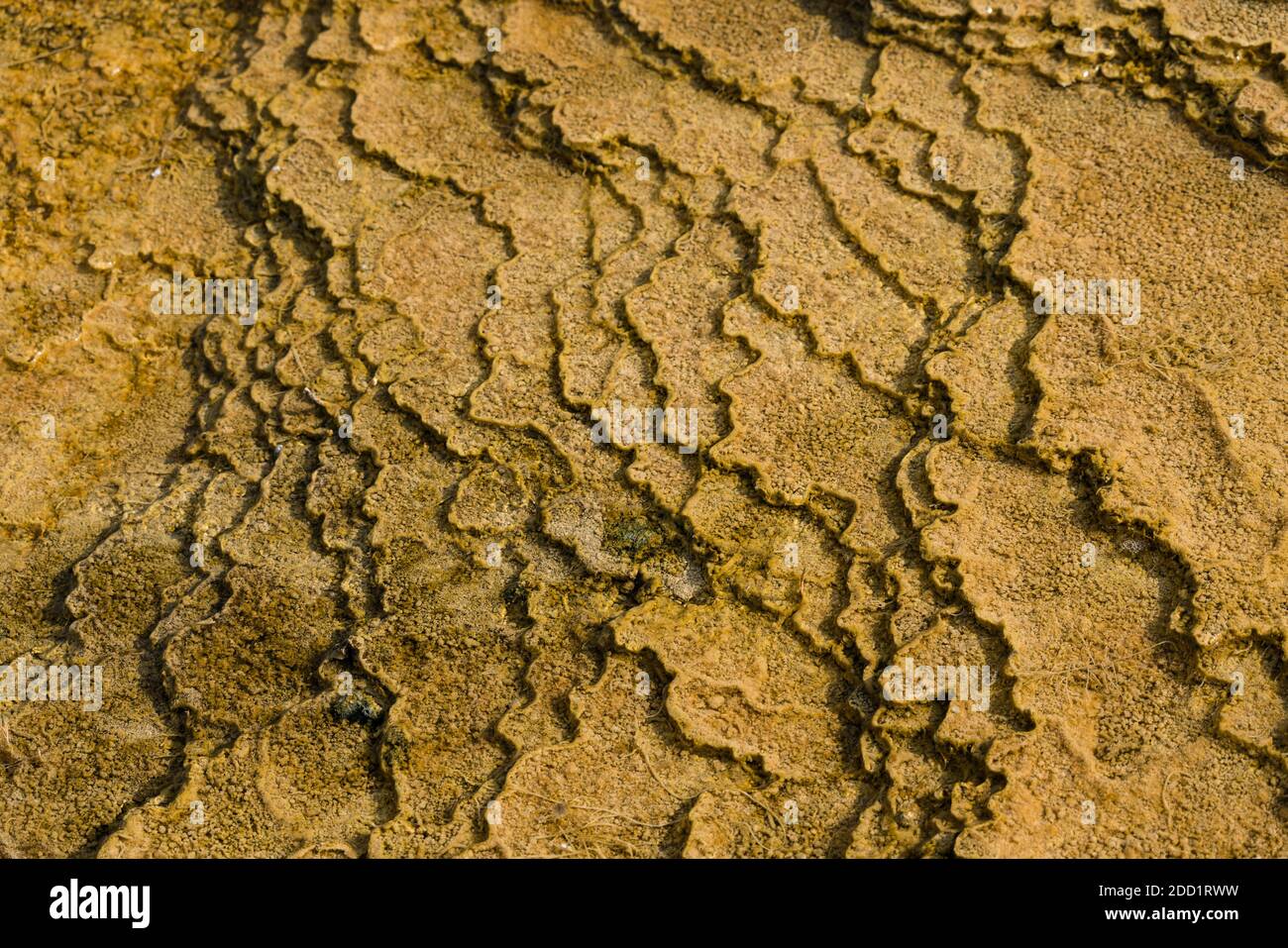 Travertine terraces at Palette Spring, Lower Terraces, Mammoth Hot ...