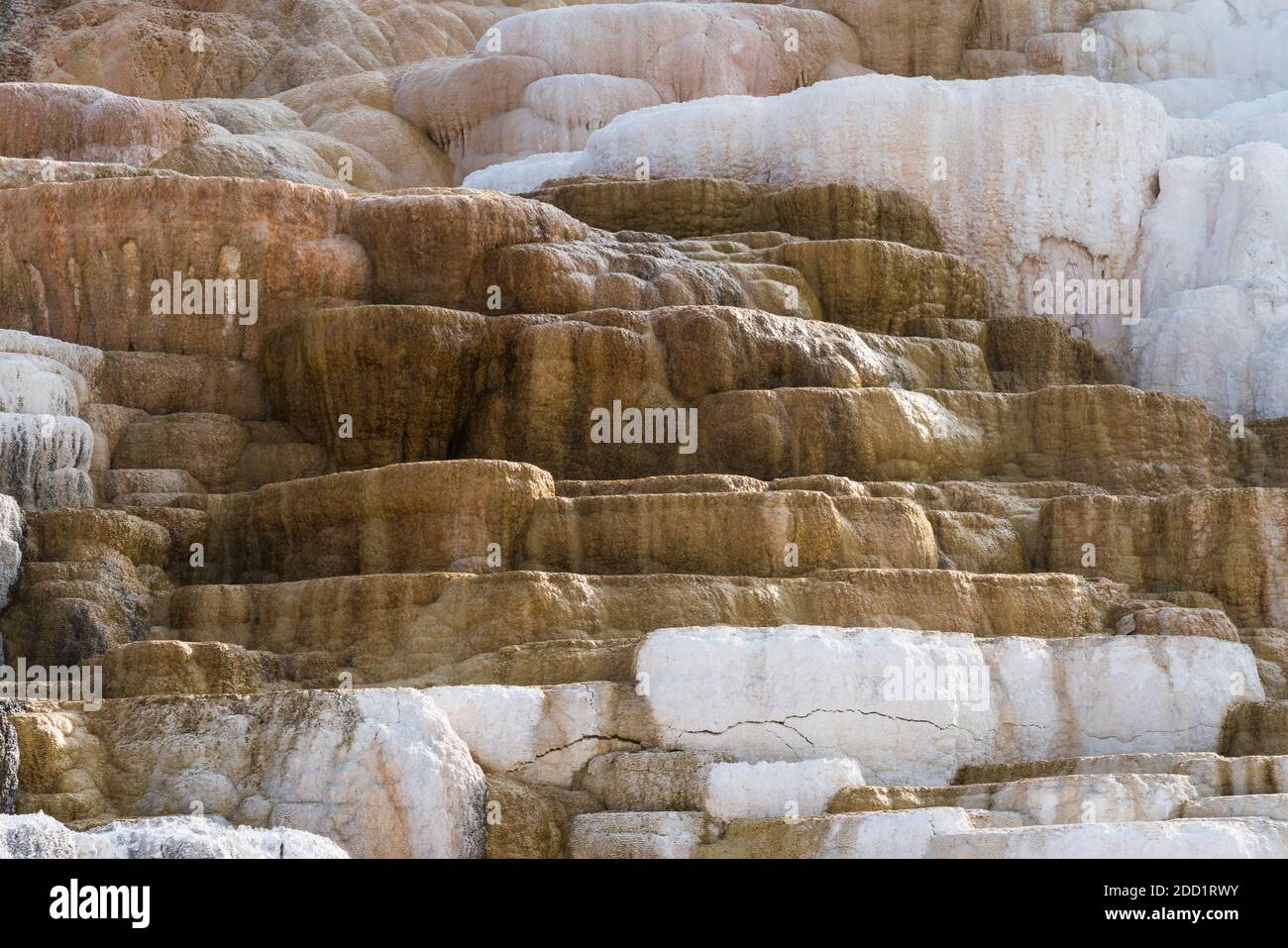 Travertine terraces at Palette Spring, Lower Terraces, Mammoth Hot ...