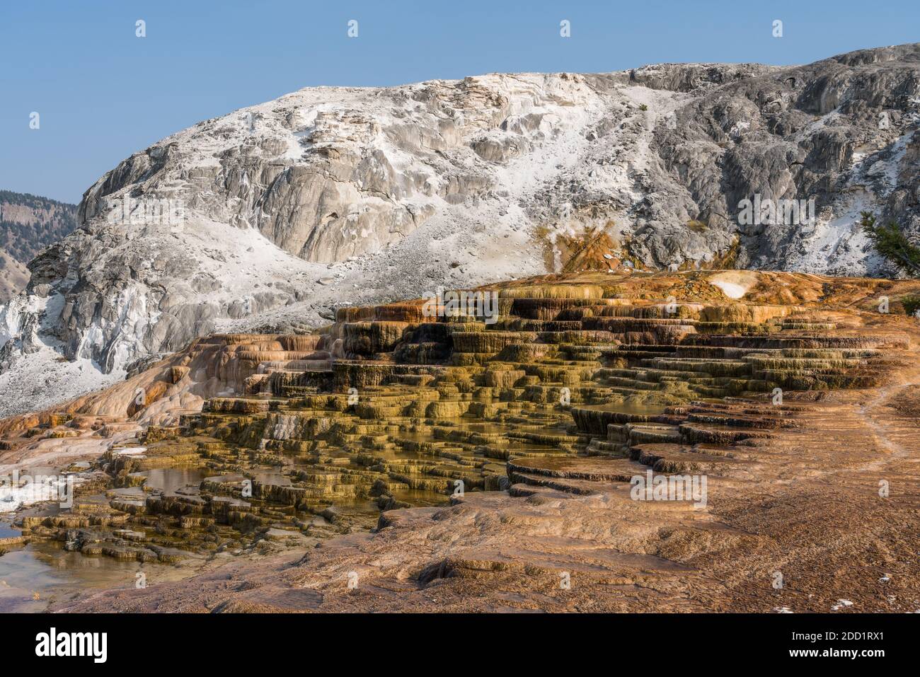 Travertine terraces at Mound Terrace, Lower Terraces, Mammoth Hot ...