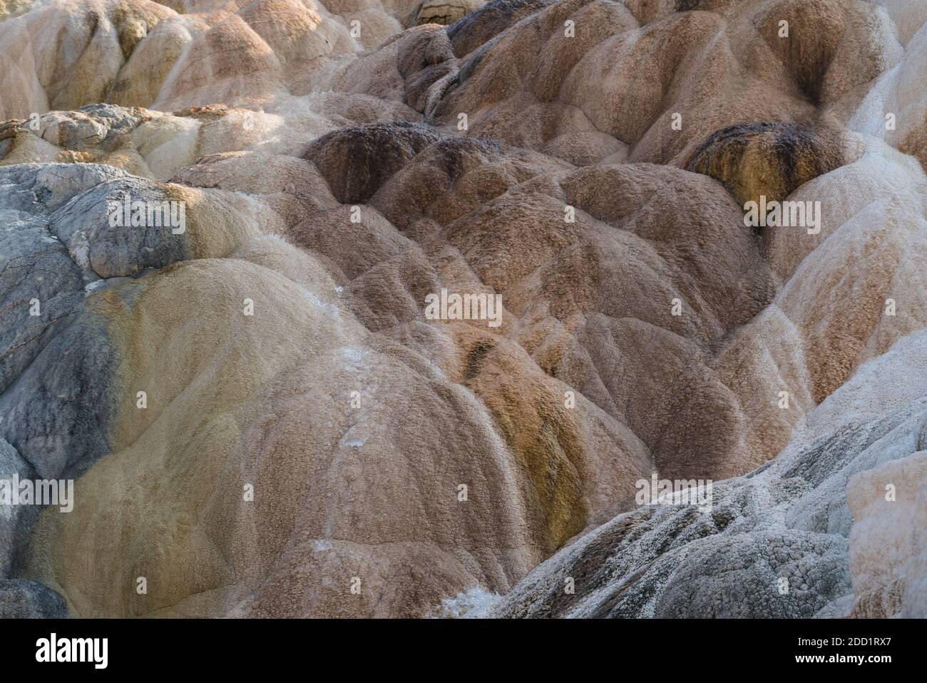 Travertine formations at Palette Spring, Lower Terraces, Mammoth Hot ...