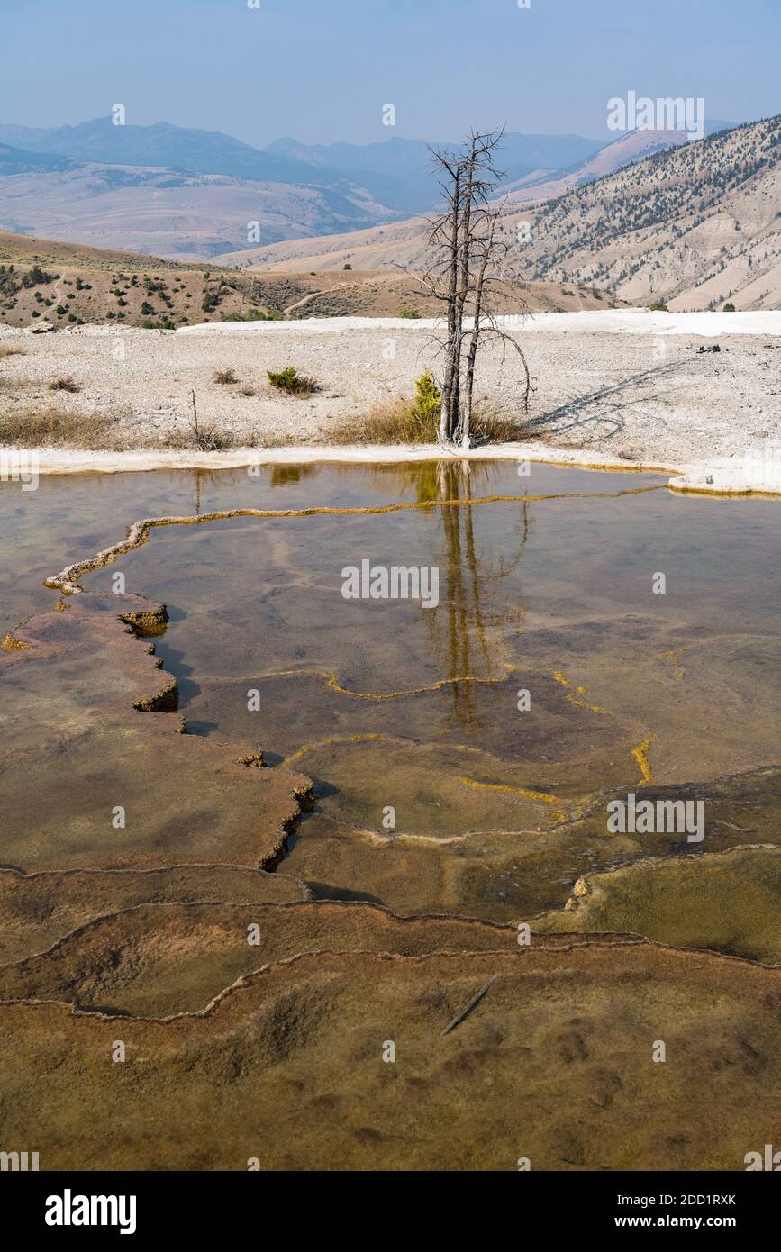 Travertine terraces at Mound Terrace, Lower Terraces, Mammoth Hot ...