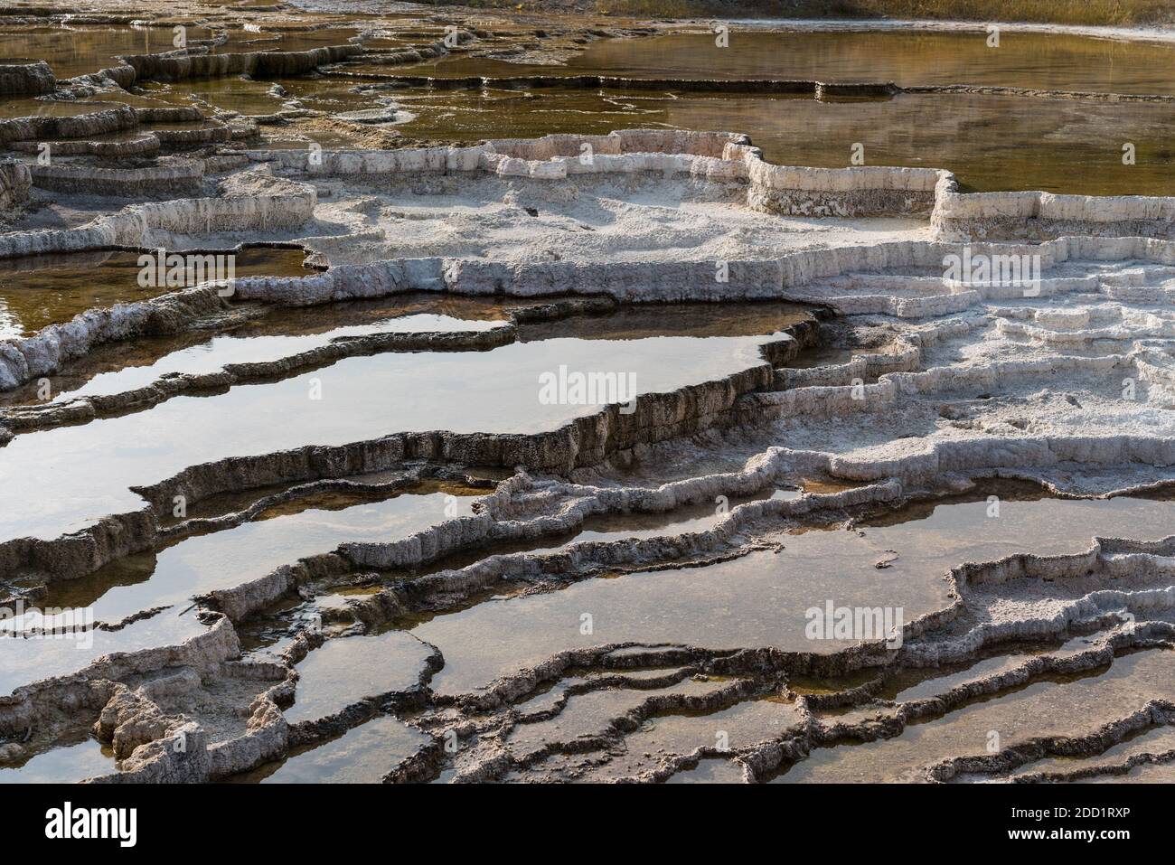 Travertine terraces at Mound Terrace, Lower Terraces, Mammoth Hot ...