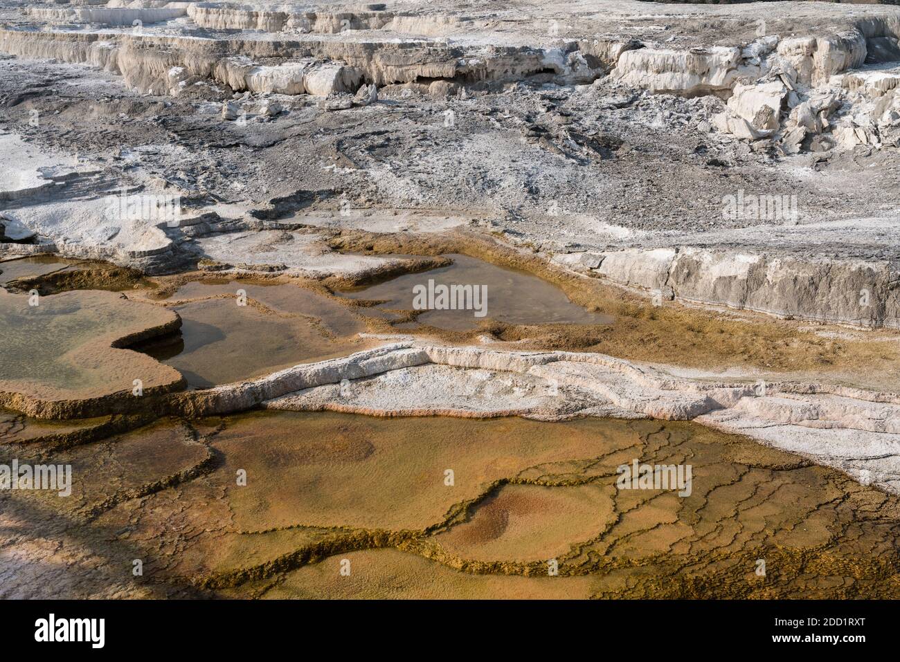 Travertine terraces at Mound Terrace, Lower Terraces, Mammoth Hot ...