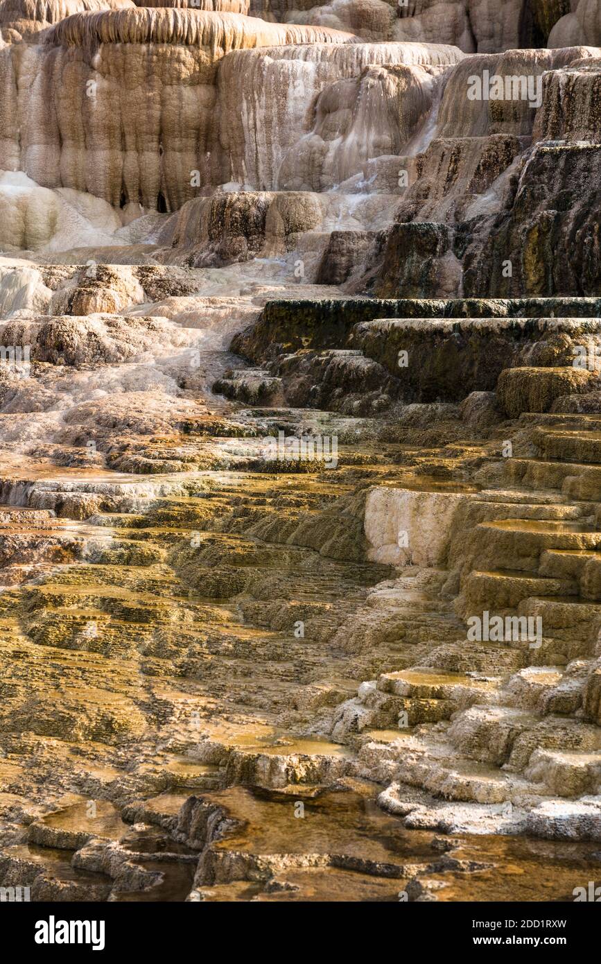 Travertine terraces at Mound Terrace, Lower Terraces, Mammoth Hot ...