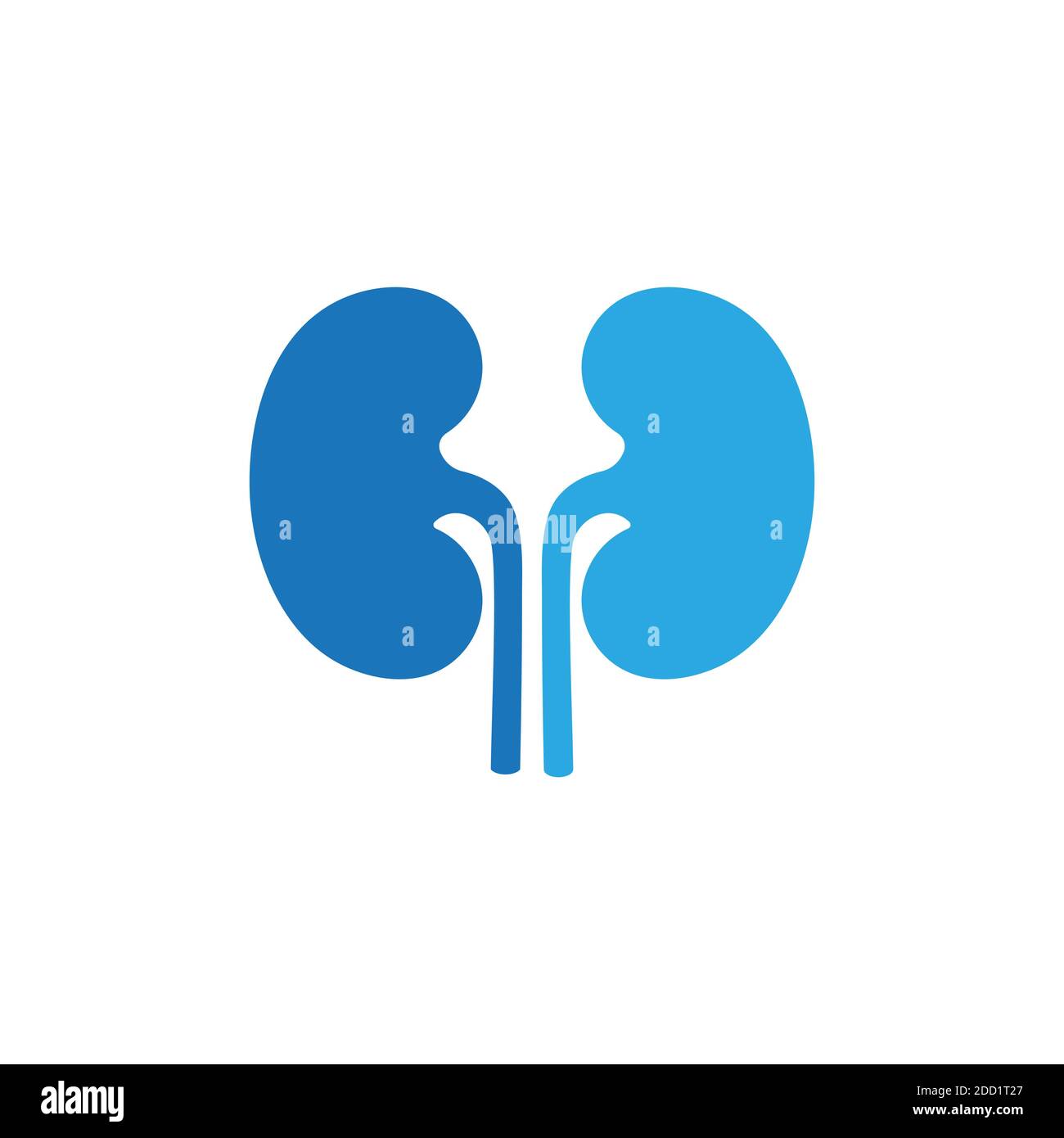 kidney vector illustratation design logo template Stock Vector Image ...