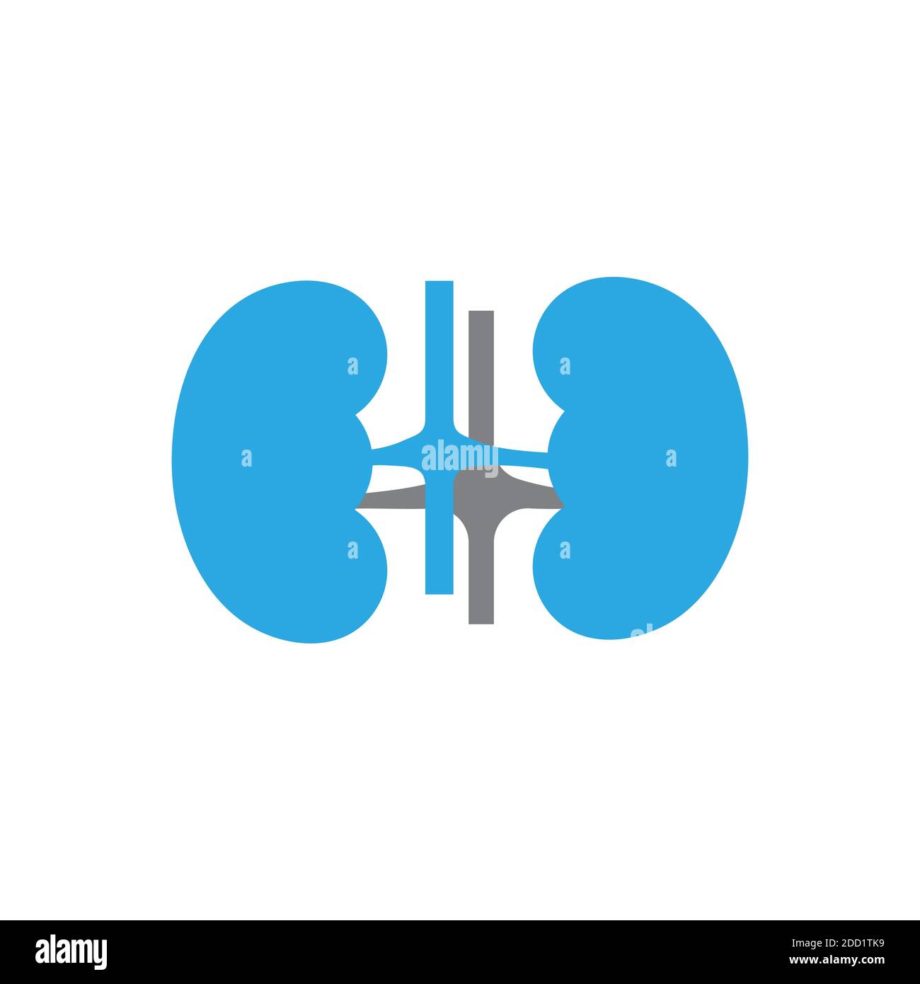 Kidney vector hi-res stock photography and images - Alamy