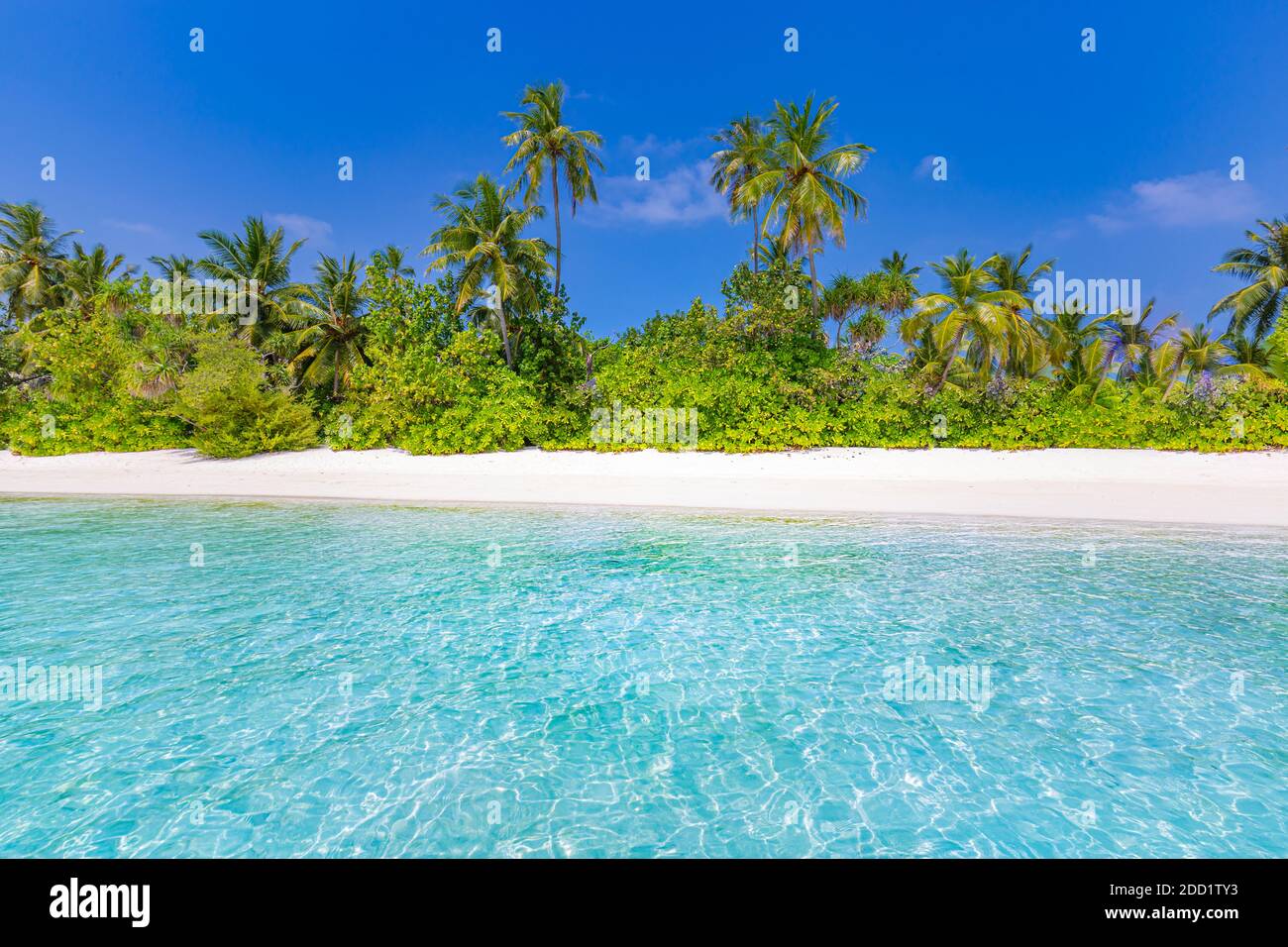 Tropical beach background as summer landscape with beach swing or ...