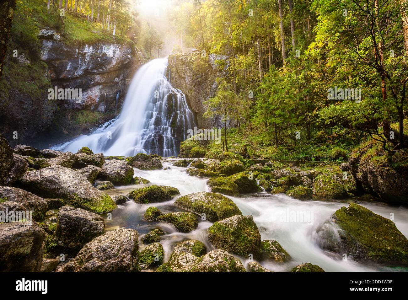 Golliner hi-res stock photography and images - Alamy