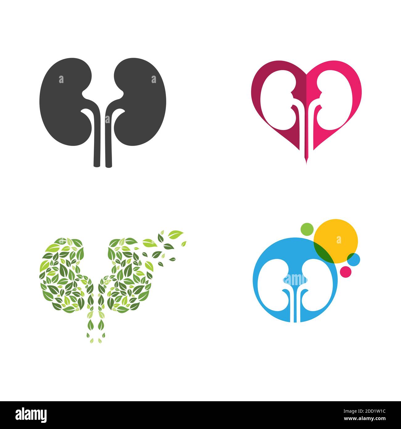 kidney vector illustratation design logo template Stock Vector Image ...