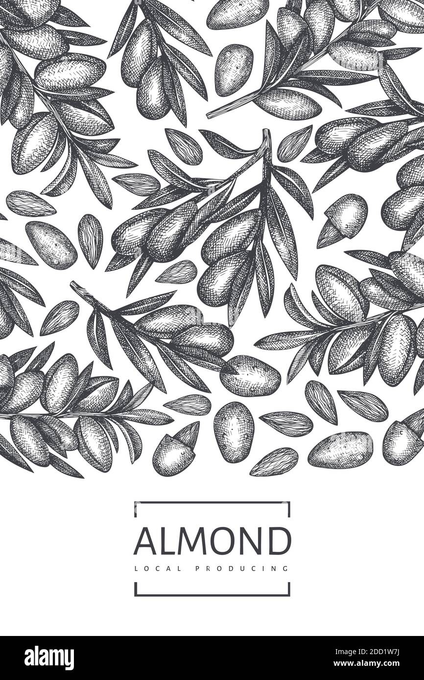Hand drawn sketch almond design template. Organic food vector ...