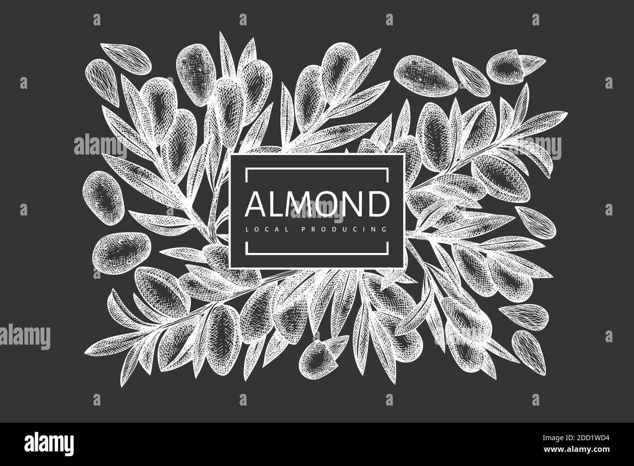 Hand drawn sketch almond design template. Organic food vector ...