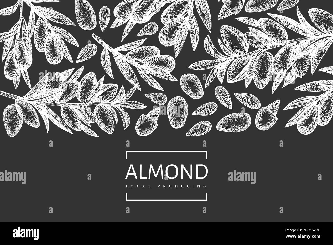 Hand drawn sketch almond design template. Organic food vector ...