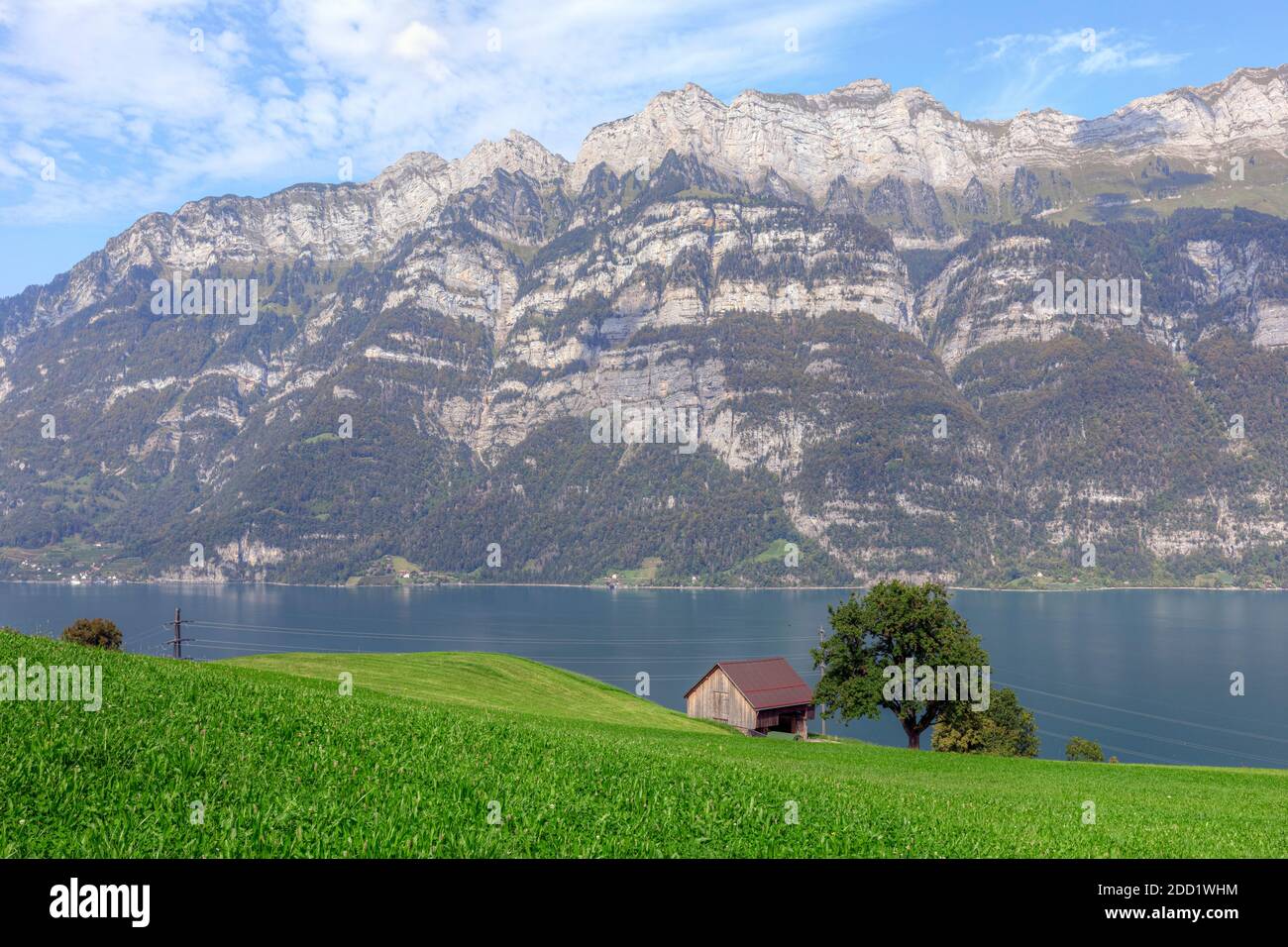 Lake Walen, Quarten, St. Gallen, Switzerland, Europe Stock Photo - Alamy