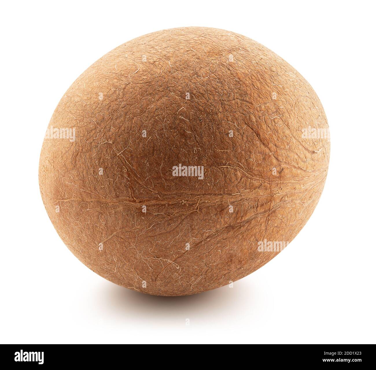 coconut without shell isolated on a white background Stock Photo - Alamy
