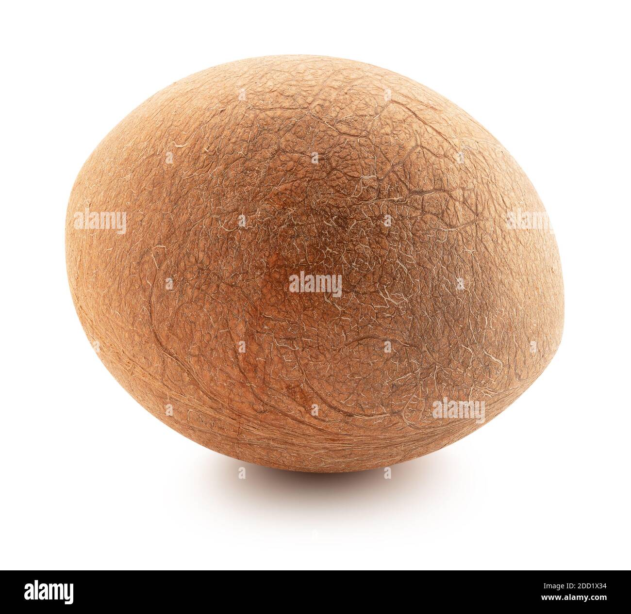 coconut without shell isolated on a white background Stock Photo - Alamy