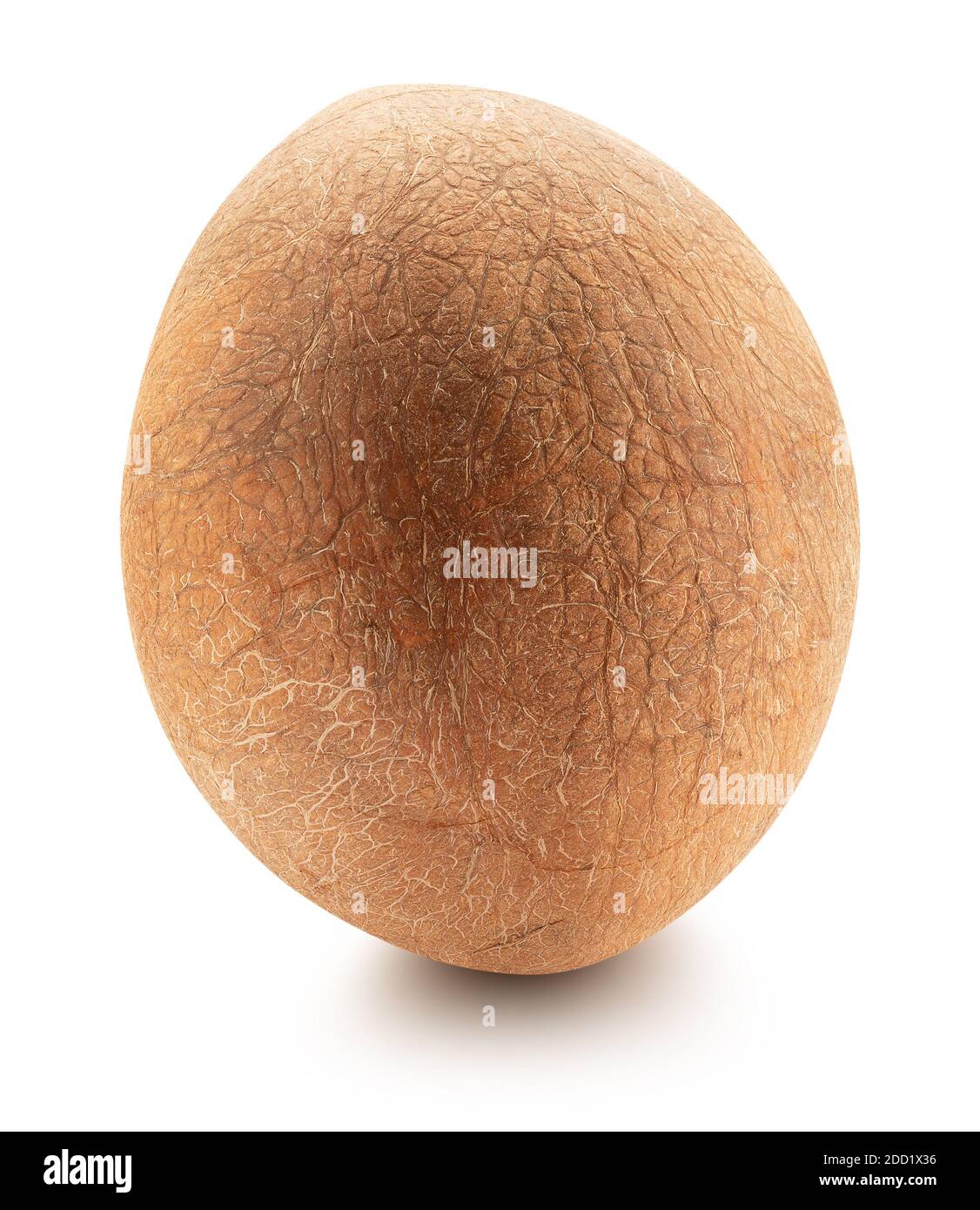 coconut without shell isolated on a white background Stock Photo - Alamy