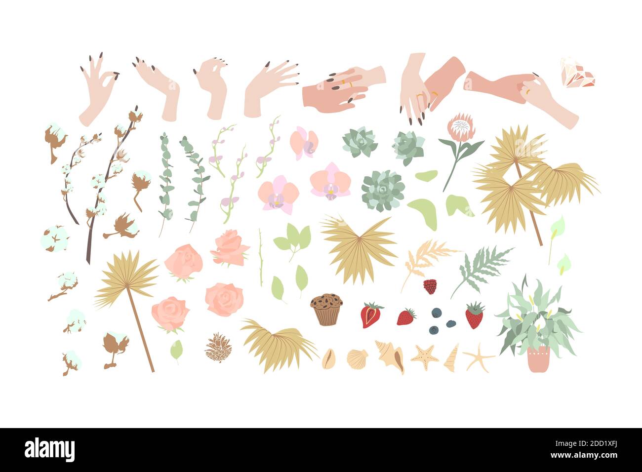 Elegant hand drawn pastel boho floral clipart set. Isolated on white ...