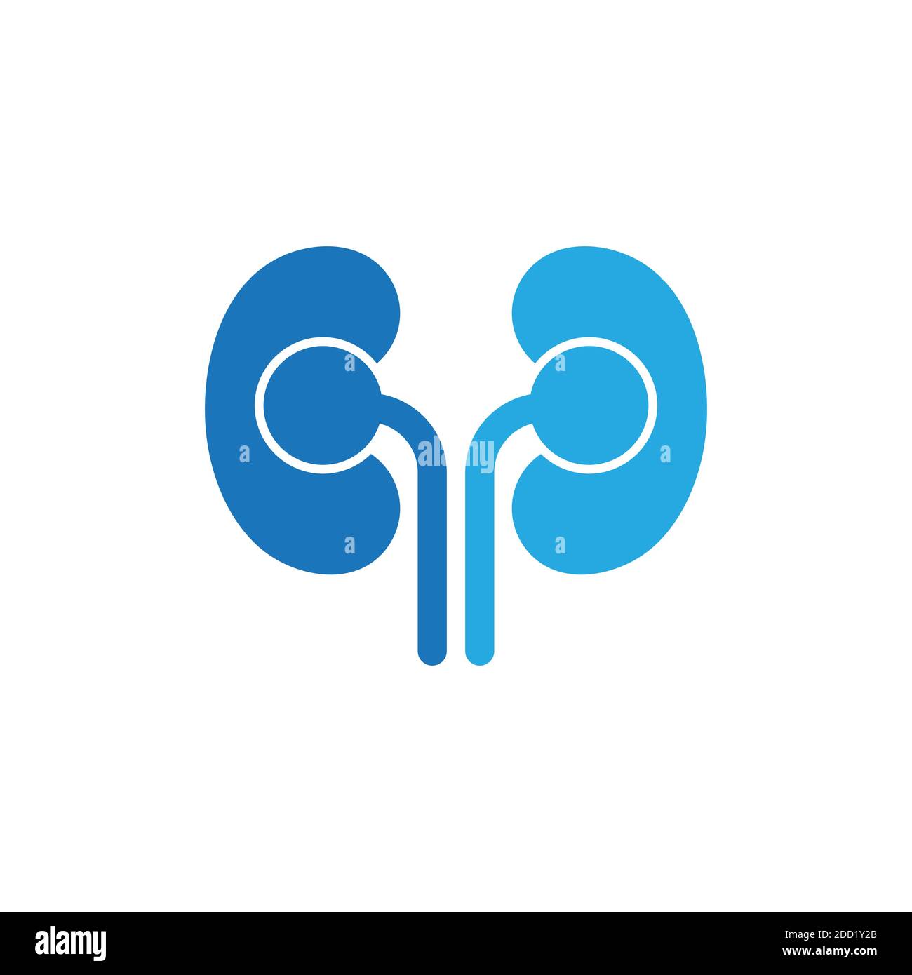 kidney vector illustratation design logo template Stock Vector Image ...