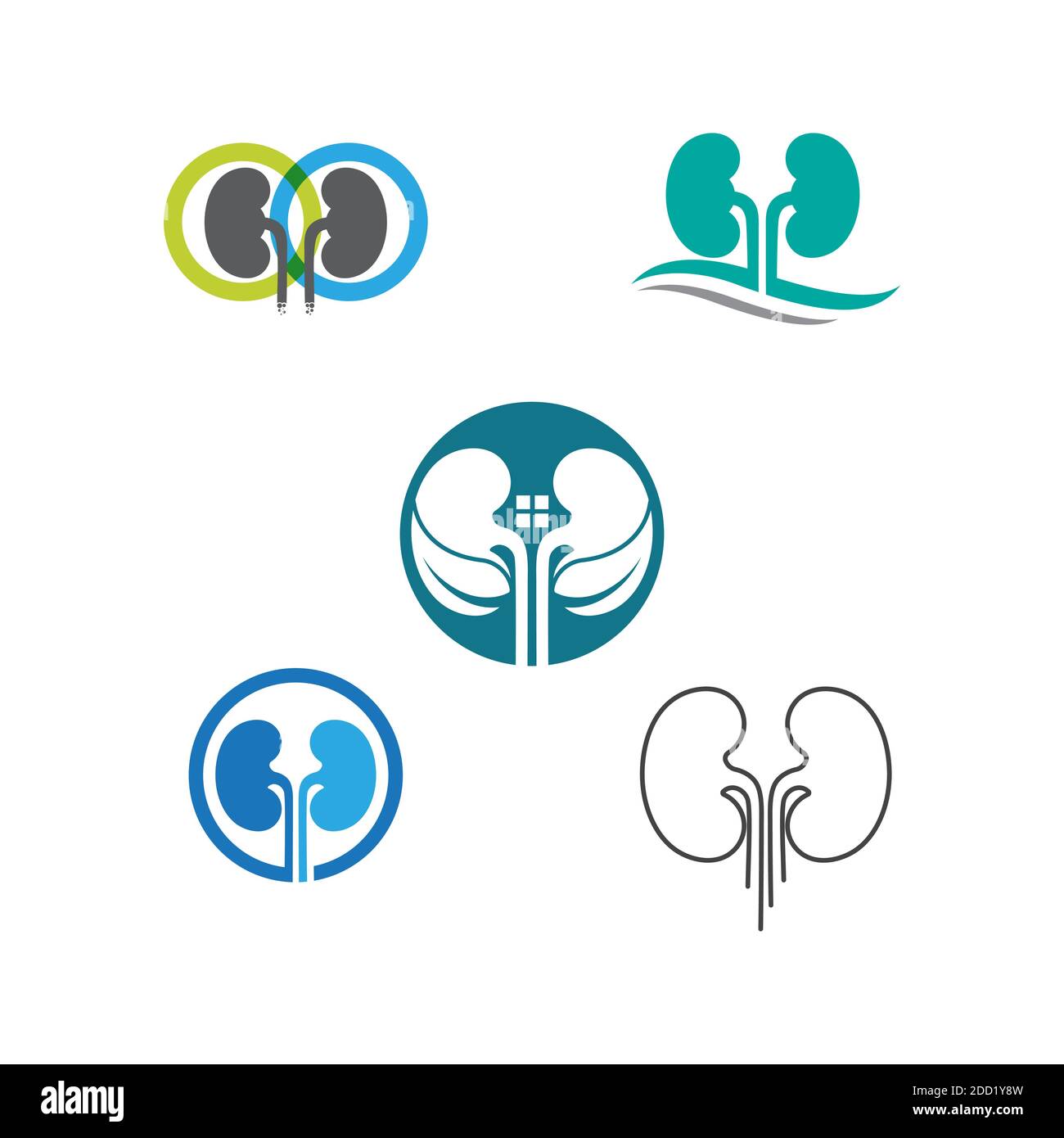 kidney vector illustratation design logo template Stock Vector Image ...