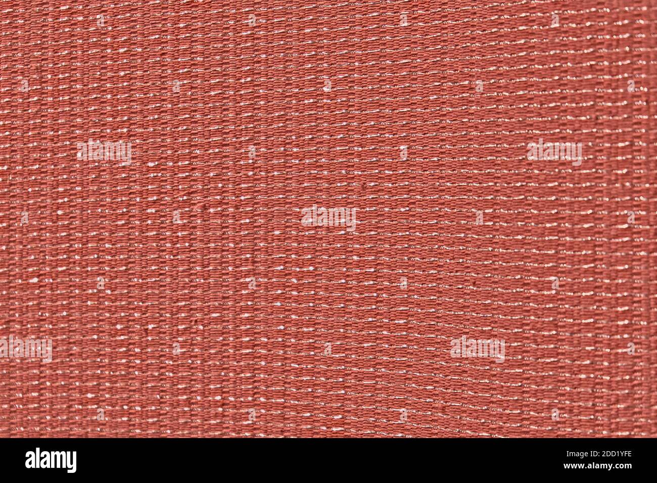 Texture of dry ivy branches. Background of dry ivy branches. Shoots of ...