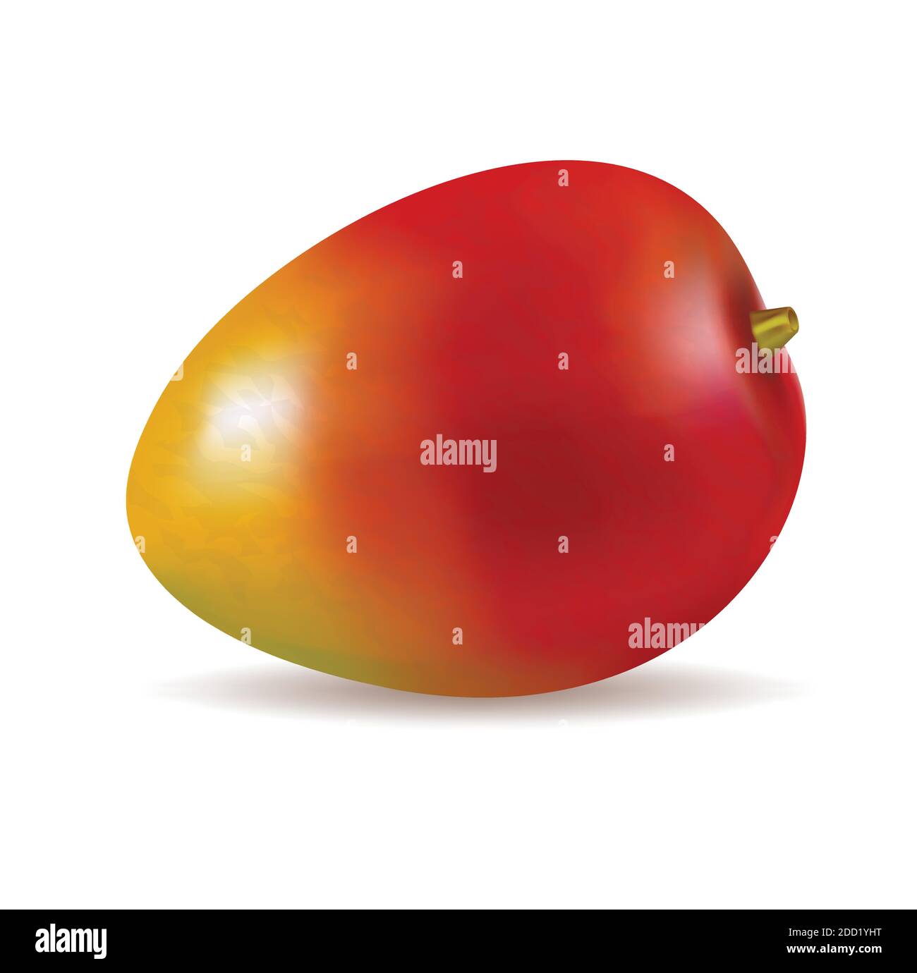 Ripe fresh mango vector illustration Stock Vector Image & Art - Alamy