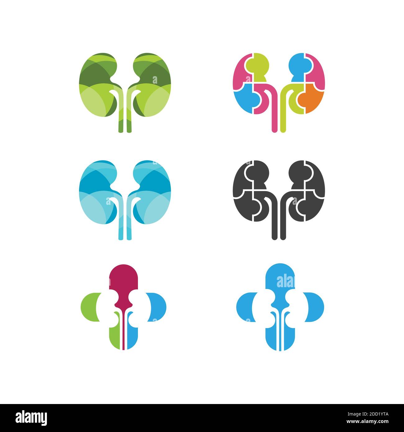 kidney vector illustratation design logo template Stock Vector Image ...