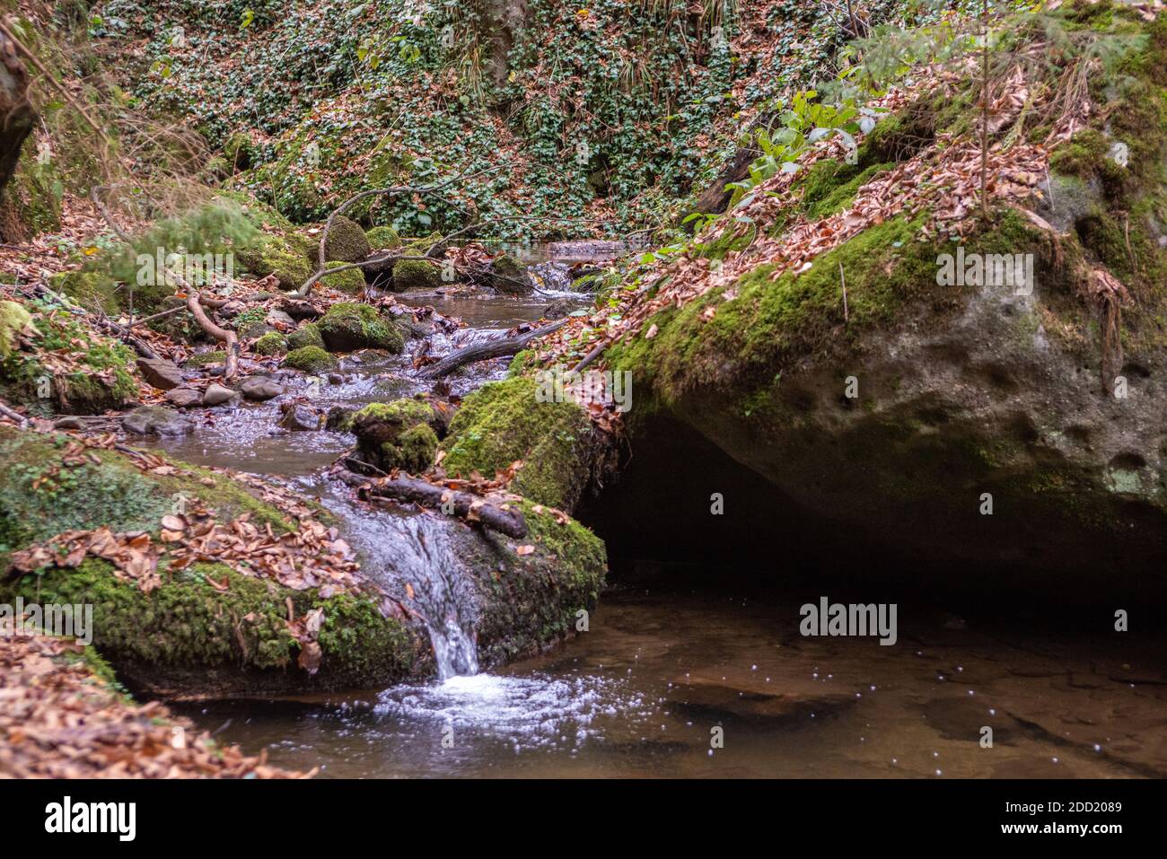 A waterfall falling into a natural pool in a forest Stock Photo - Alamy