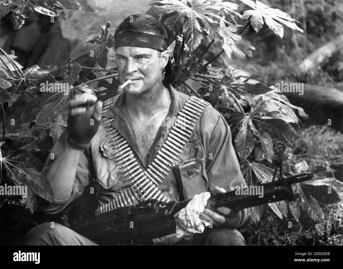 Richard Moll 2022 | atelier-yuwa.ciao.jp