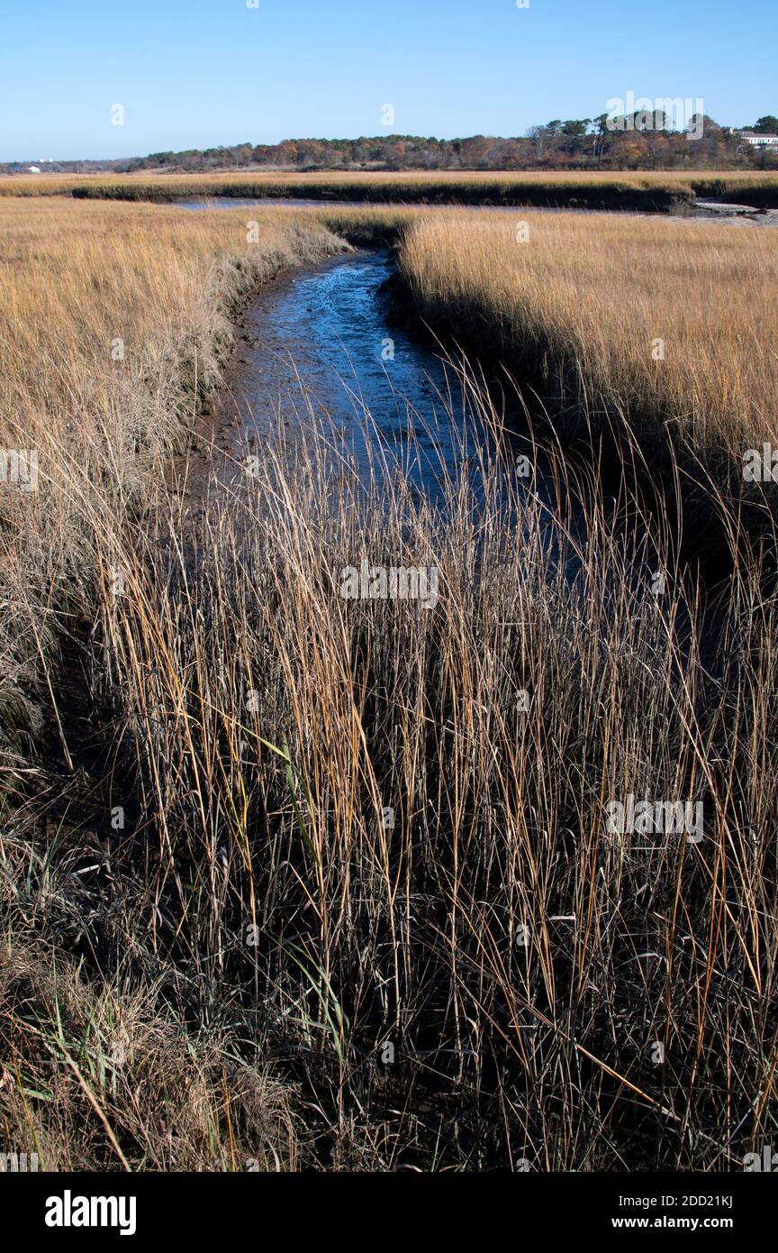 Massachusetts marsh hi-res stock photography and images - Alamy